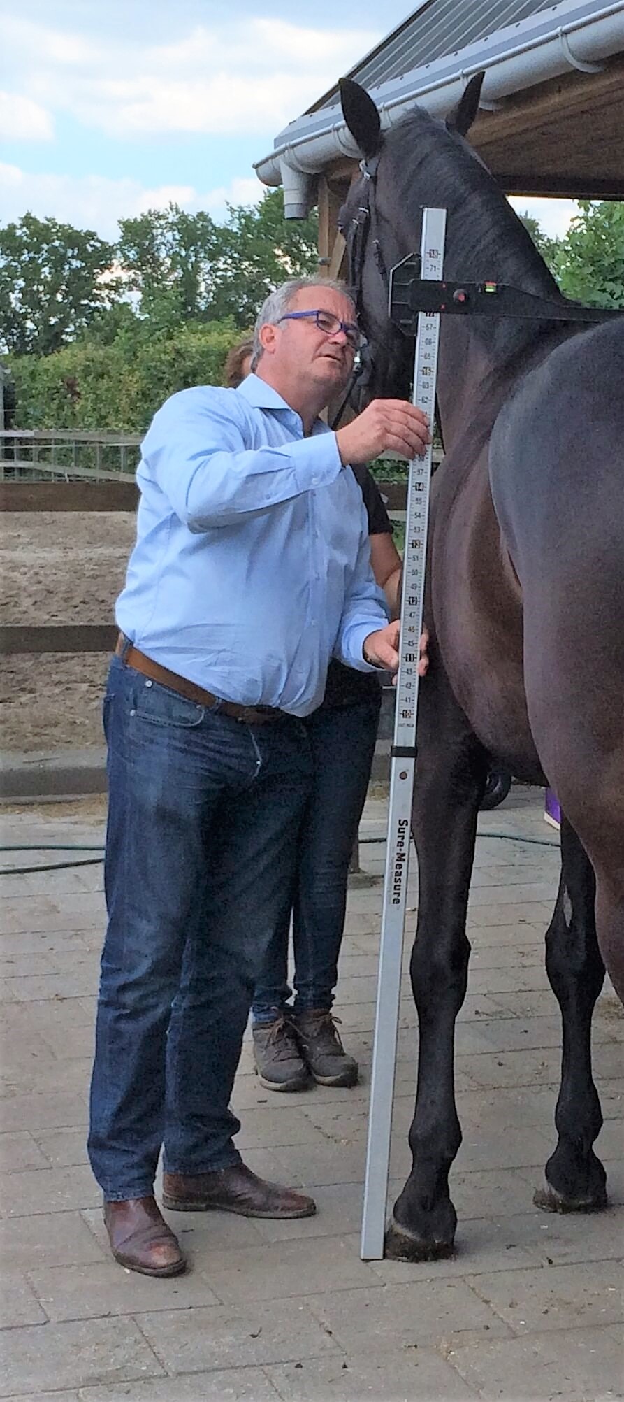 Paard of Pony laten taxeren - Taxatie Aanvragen | Tonnie Verhees
